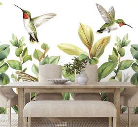Samolepící tapeta kolibříky a listy