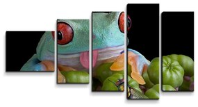 Sablio Obraz - 5-dílný Veselá žába - 100x60 cm