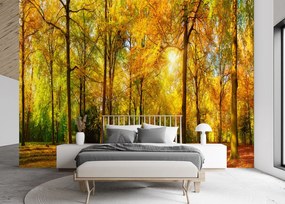 Gario Fototapeta Podzimní les Materiál: Vliesová, Rozměry: 200 x 140 cm