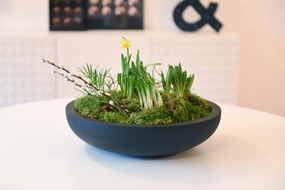 Okrasná miska PLANA, sklolaminát, 11xØ43 cm, antracit