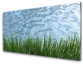 Obraz na skle Tráva Voda Příroda 100x50 cm