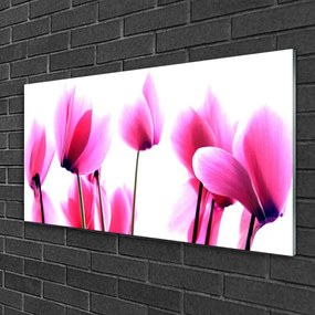 Obraz na skle Květíny Rostlina 125x50 cm