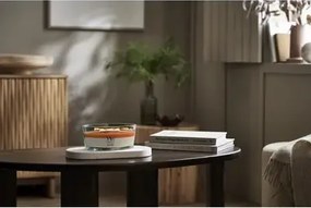 WoodWick Trilogy Vanilla Embers svíčka loď