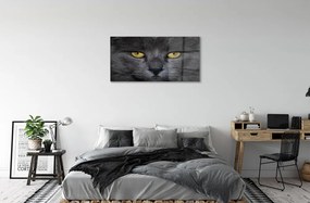 Obraz na skle Černá kočka 100x50 cm