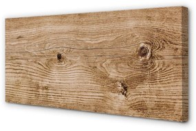 Obrazy na plátně Plank dřeva 120x60 cm