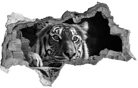 Wallmuralia Díra 3D fototapeta nálepka Tygr 95x73 cm