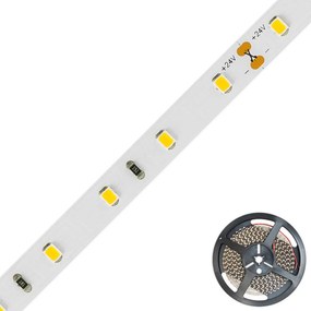 EVN STR2024 LED pásek IP20 5m 24W 4 000K