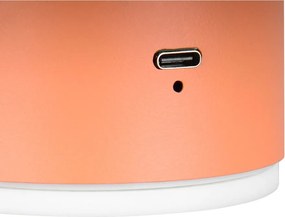 Oranžové LED nástěnné svítidlo na USB Davey – Trio