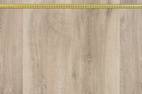 Beaulieu International Group, PVC podlaha - lino Livitex 2601, na míru, šíře 3m,4m, hnědá, filc, chodba / předsíň