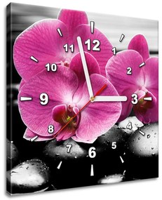 Gario Obraz s hodinami Krásná orchidej mezi kameny Rozměry: 40 x 40 cm