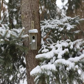 Esschert Design ESSCHERT DESIGN Budka "BEST FOR BIRDS" pro Střízlíka obecného přírodní