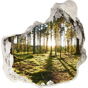 Wallmuralia Nálepka fototapeta 3D na zeď Sosnový les 75x75 cm