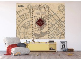 Dětská fototapeta Harry Potter Marauders Map 252 x 182 cm, 4 díly