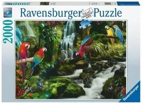 Ravensburger Barevní papoušci v džungli / 2000 dílků / od 14 let