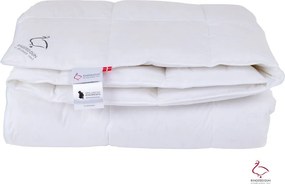 Celoroční přikrývka s péřovou výplní 200x140 cm Jack the Dullard – Ringsted Dun