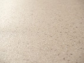 Beaulieu International Group, PVC podlaha - lino Master X 2983, na míru, šíře 2m,3m, béžová, bez podkladu, chodba / předsíň