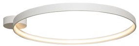 Moderní LED stropní lampa Circle 55 bílé
