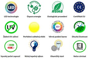 Diolamp LED Filament žárovka čirá A60 6W/230V/E27/6500K/840Lm/360°