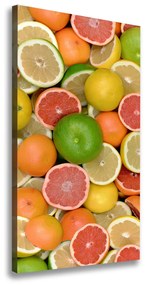 Wallmuralia Vertikální Foto obraz na plátně Citrusové ovoce 50x100