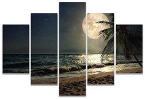 Malvis ® Obraz Pláž s palmou při měsíci Velikost: pětidílné schody - 100x50 cm