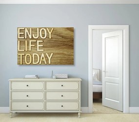 Obraz s citací - Enjoy life today