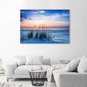Obraz na plátně Plážová tráva duny moře - 120x80 cm