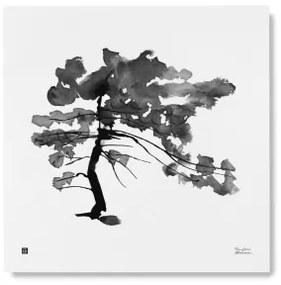 Plakát Pine Tree velký 50x50 cm Teemu Järvi Illustrations