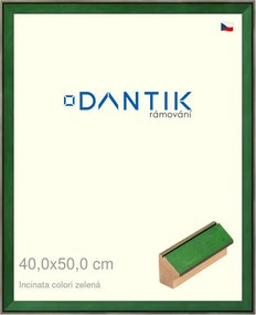 DANTIK rámeček 40x50 | INCLINATA colori zelená (Sklo Čiré)