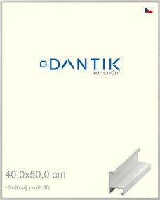 DANTIK rámeček 40x50 | ALU profil 6030 Dýha bílá (Plexi Čiré)