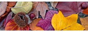 Samolepicí fototapeta na kuchyňskou linku Podzimní listí KI180-047 / Fototapety do kuchyně Dimex (180 x 60 cm)