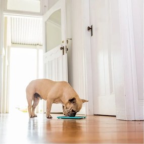 United Pets Lízací podložka pro psy LickiMat Buddy šedá