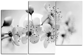 Obraz na plátně - Malé květy na větvi 1173QD (135x90 cm)