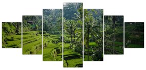 Obraz rýžových teras Tegalalang, Bali (210x100 cm)