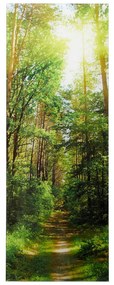 XXXLutz OBRAZ NA SKLE, krajina a příroda, 30/80/1,40 cm Euroart - Skleněné obrazy - 0057210341