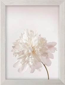 Obraz Peony III 18x24cm silver