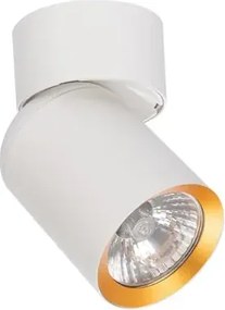 Domoletti Tunis ML9932 bílá/zlatá / Stropní svítidlo / GU10