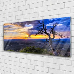 Plexisklo-obraz Strom Zápas Slunce 125x50 cm