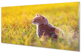 akrylový obraz lov cat 120x60 cm