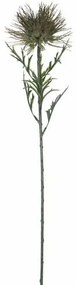 Edelman EGO DEKOR Květina Protea, zelená, 71 cm