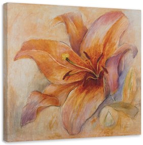 Obraz na plátně Lilie Květiny Oranžová - 50x50 cm