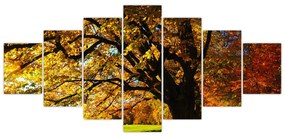 Obraz podzimního stromu (210x100 cm)
