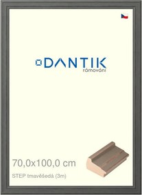 DANTIK rámeček 70x100 | STEP tmavěšedá (Plexi Čiré)