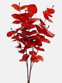 Sinsay - Dekorativní rostlina – eukalyptus - červená