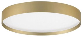 LED stmívatelné zlaté designové stropní svítidlo Roi