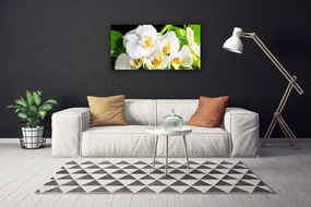 Obraz na plátně Orchidej Květiny Příroda 120x60 cm