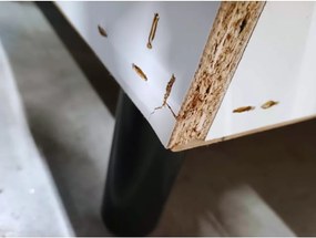 Světle šedá rozkládací/s úložným prostorem rohová pohovka (pravý roh/s lenoškou) Planet - II. jakost – Windsor &amp; Co Sofas
