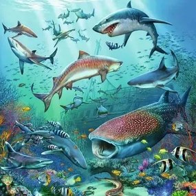 Ravensburger 051496 Zvířata z oceánu 3 x 49 dílků / od 5 let