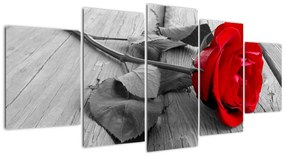 Obraz růže s červeným květem