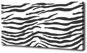 Wallmuralia Foto obraz na plátně Zebra pozadí 100x50