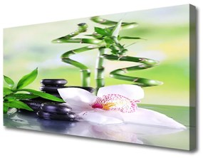 Obraz na plátně Orchidej Bambus Zen Lázně 100x50 cm